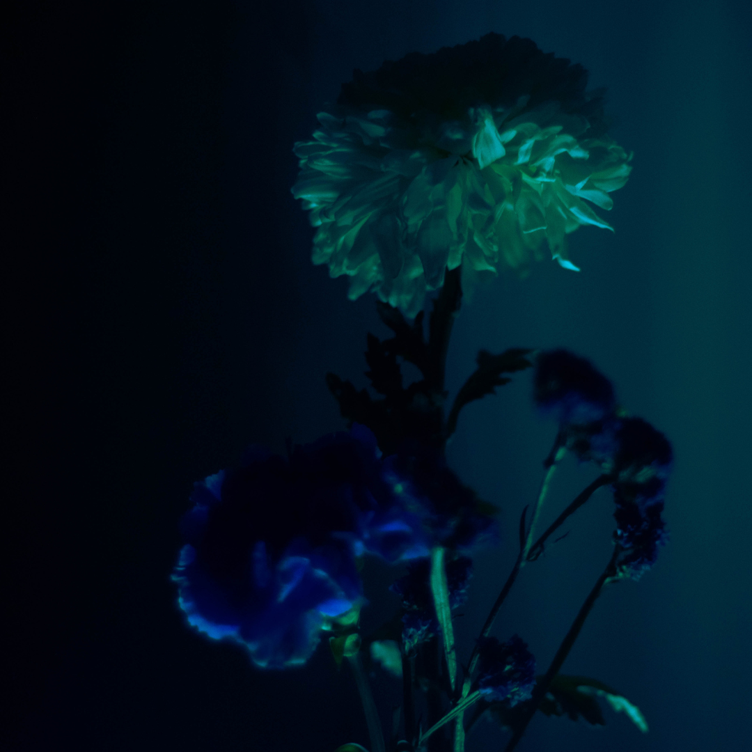 No te duermas (Vol.2): historias sobre desveladas memorables - La Desvelada